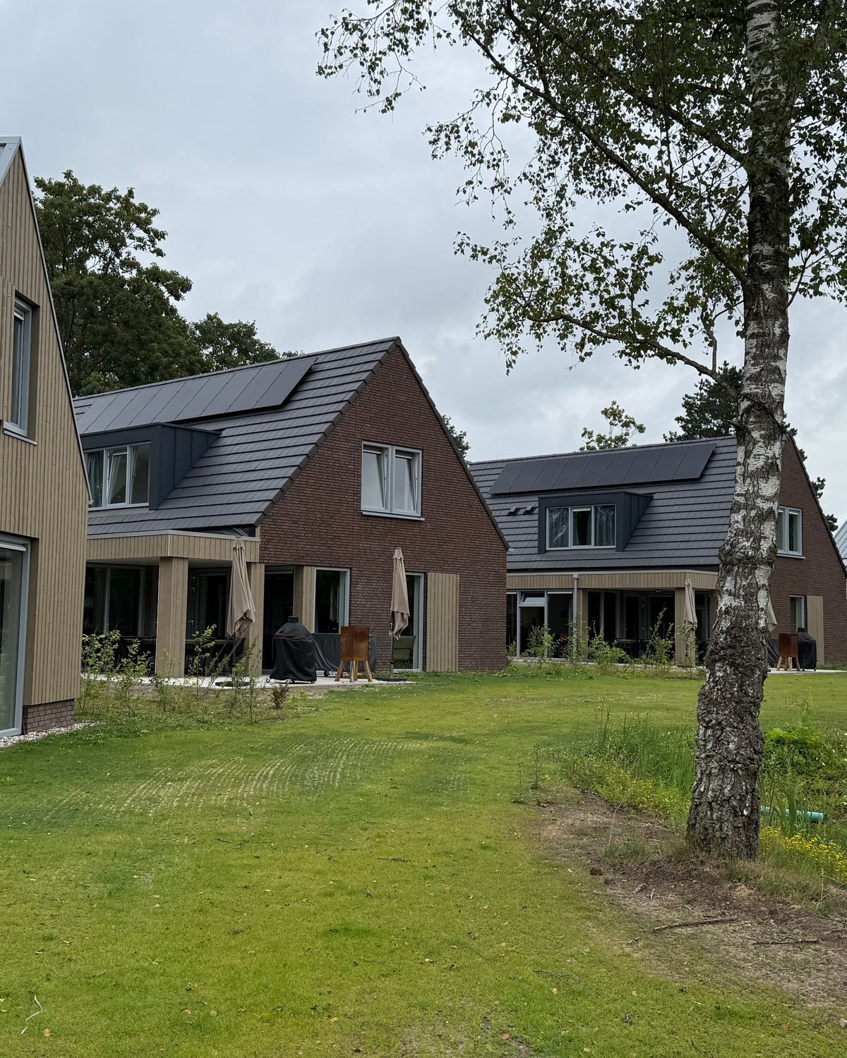 Vakantiepark Gasselte krijgt tijdens eerste seizoen steeds meer vorm ...