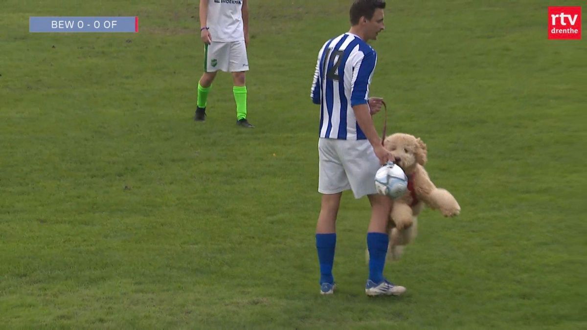 Poep op middenstip en bal ontploft: derby BEW - Old Forward eindigt in ...