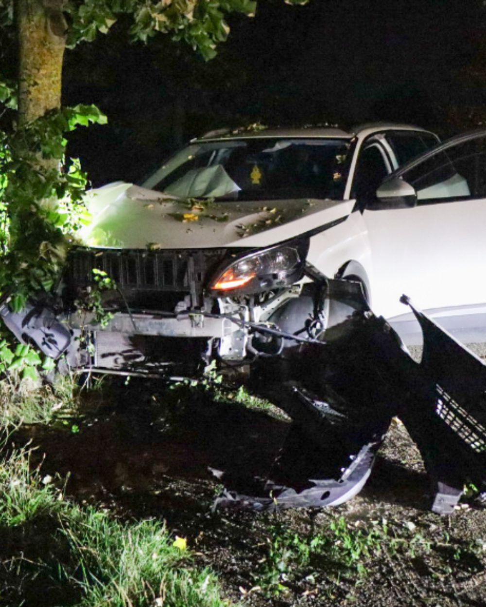 Auto zwaar beschadigd na botsing tegen boom - Rijnmond