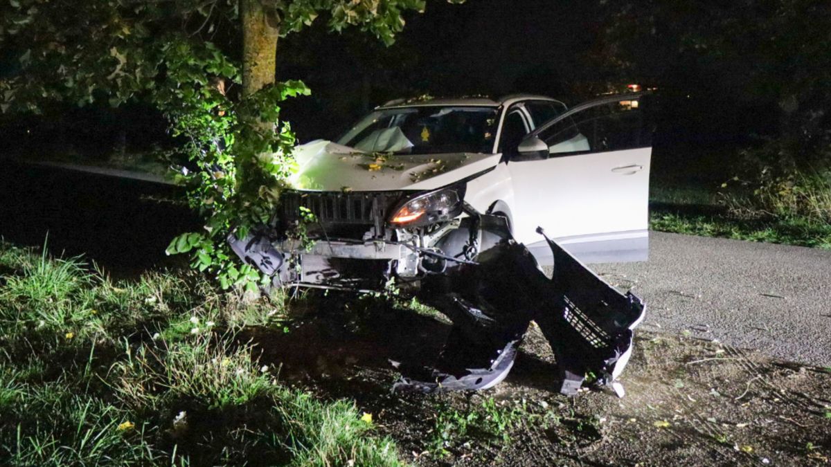 Auto zwaar beschadigd na botsing tegen boom - Rijnmond