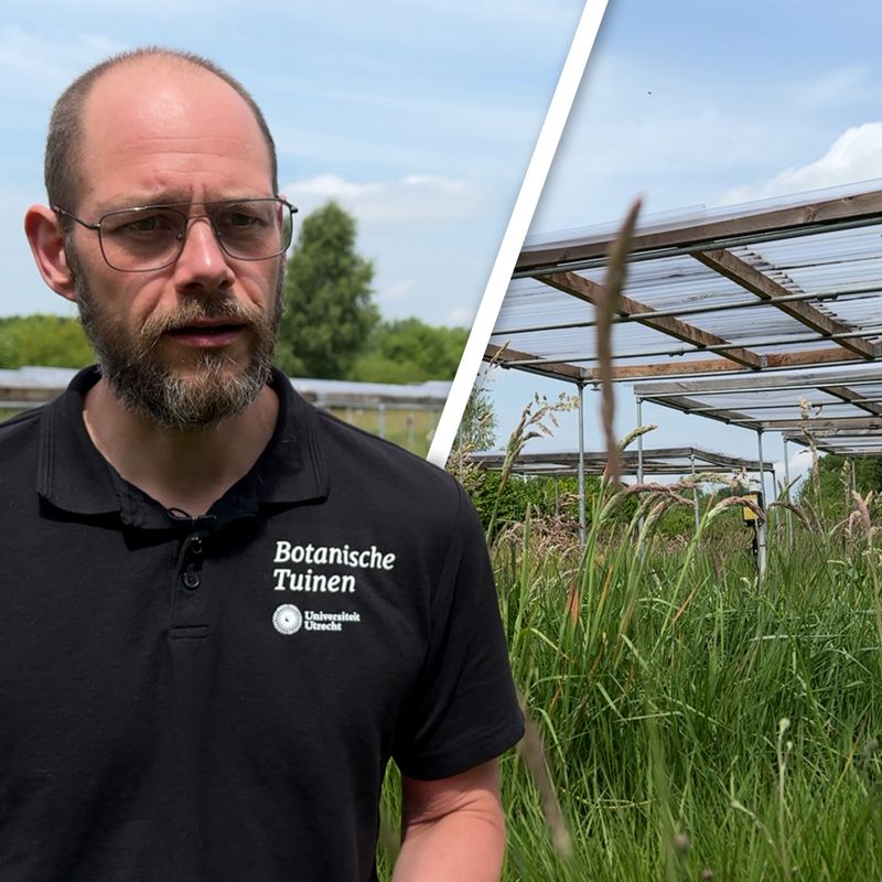 Weiland als proeflab: Universiteit Utrecht onderzoekt effect van ...