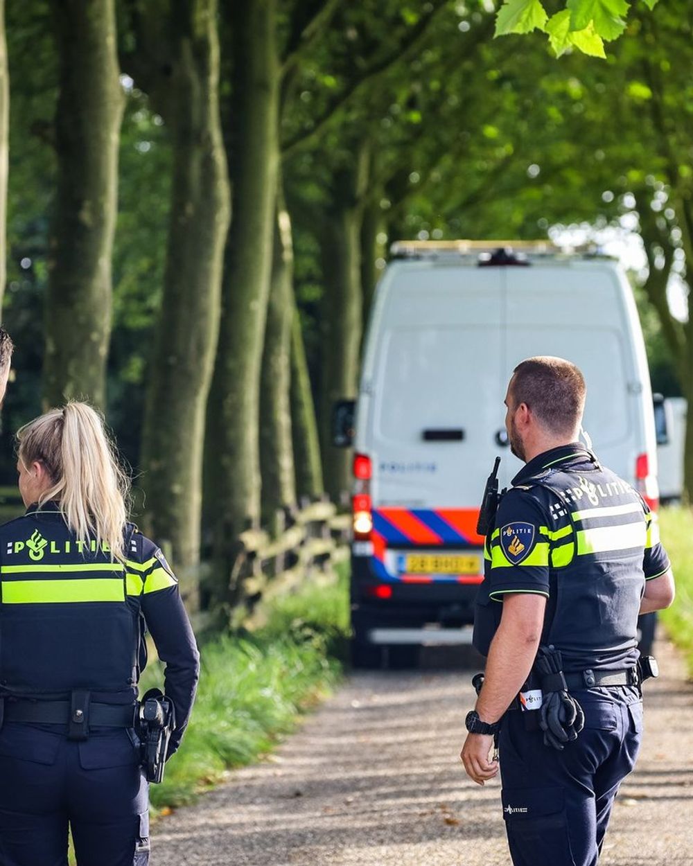 Tbs met dwangverpleging geëist voor moord op Henk Cijsouw uit Biggekerke - Omroep Zeeland