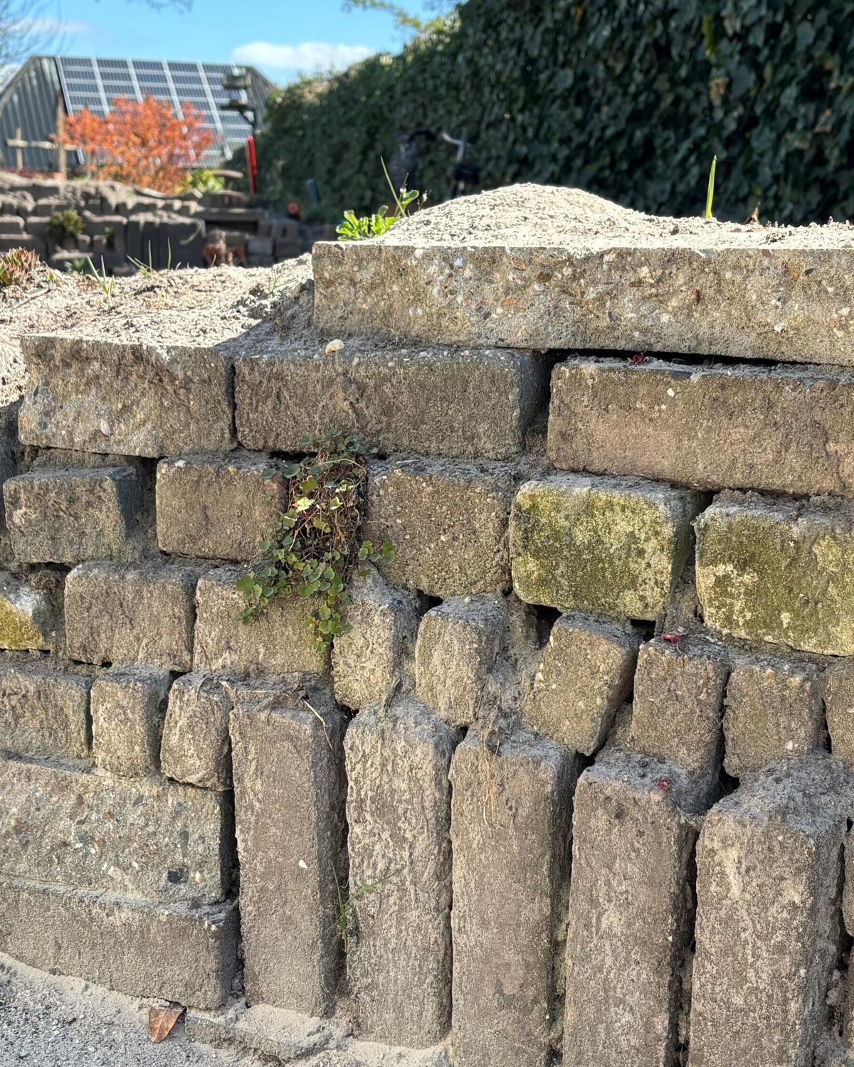 Stenen en puin zijn goed voor de tuin: "Het is heel simpel" - Omrop Fryslân