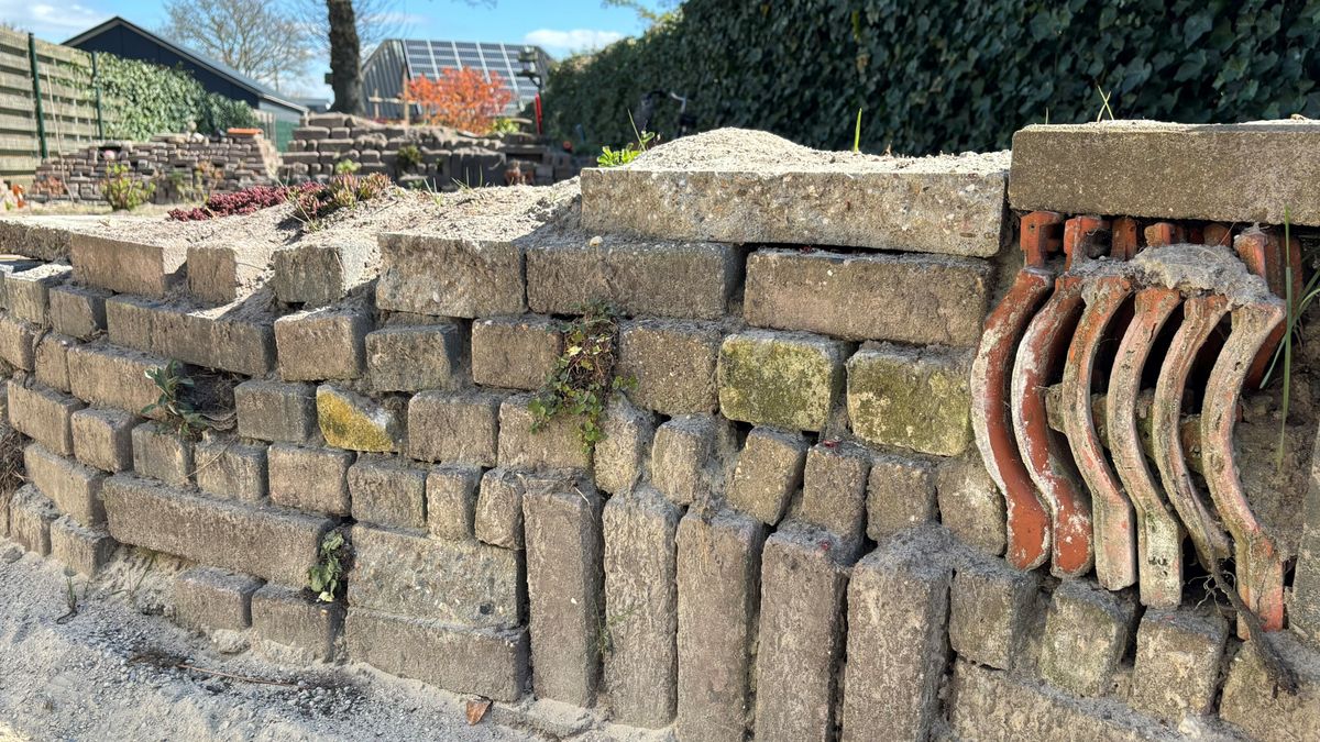 Stenen en puin zijn goed voor de tuin: "Het is heel simpel" - Omrop Fryslân