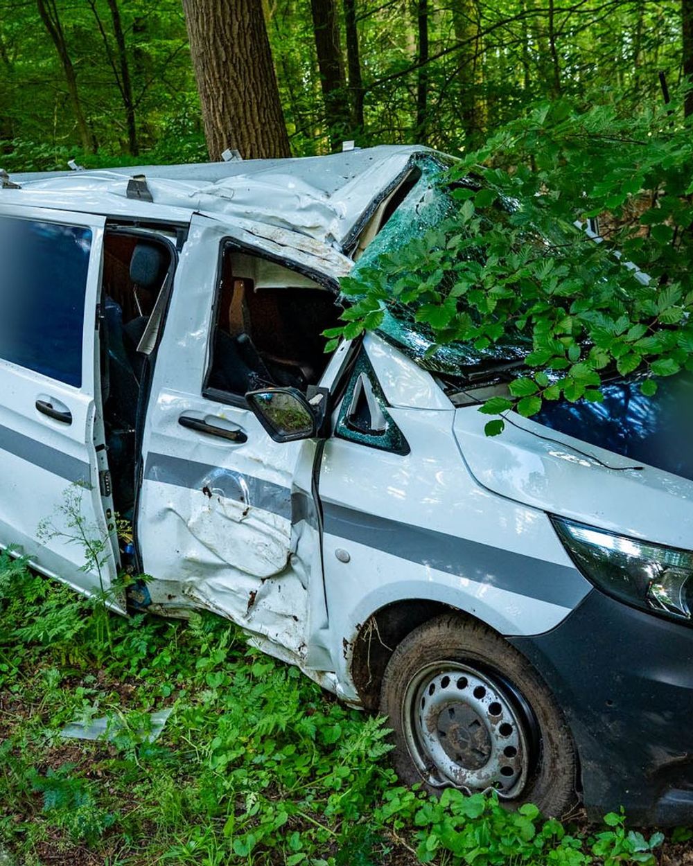 Busje botst hard tegen boom in Ermelo - Omroep Gelderland