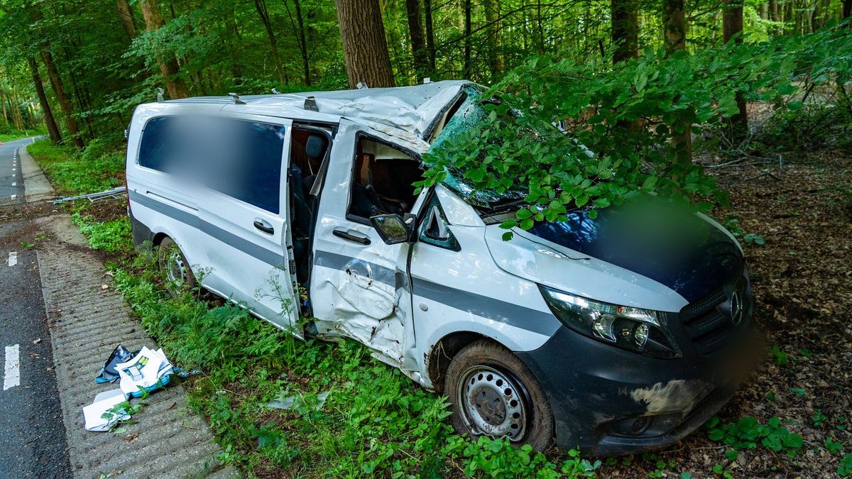 Busje botst hard tegen boom in Ermelo - Omroep Gelderland