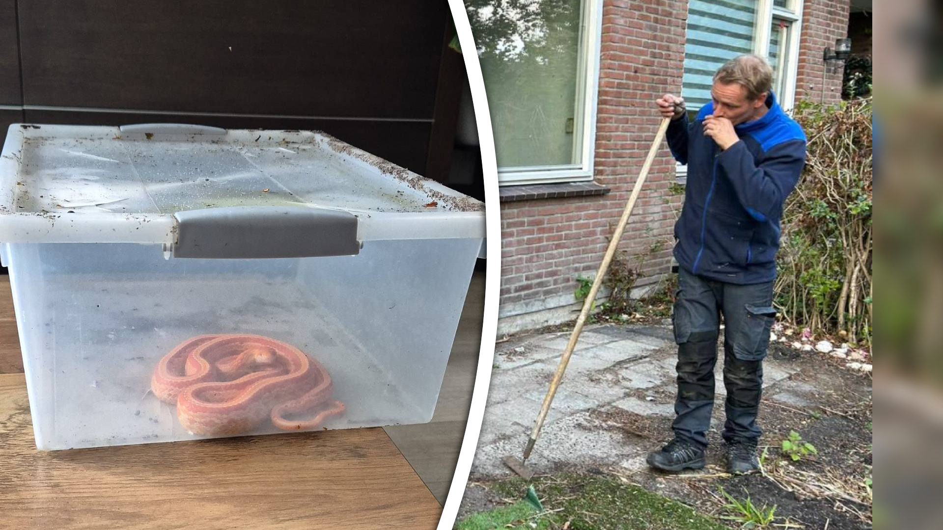 Helpers van Rotterdamse drugsbaron 'Piet Costa' krijgen celstraf voor ...