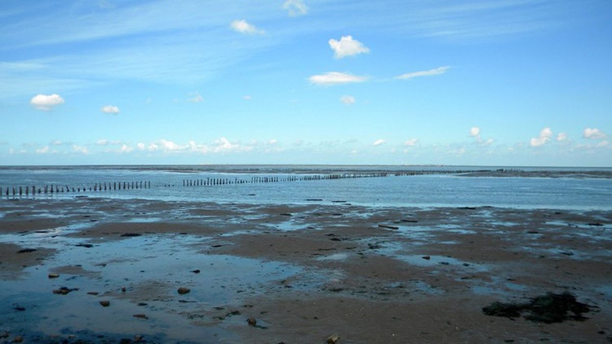 Nieuwe borden langs Waddenzee - RTV Noord