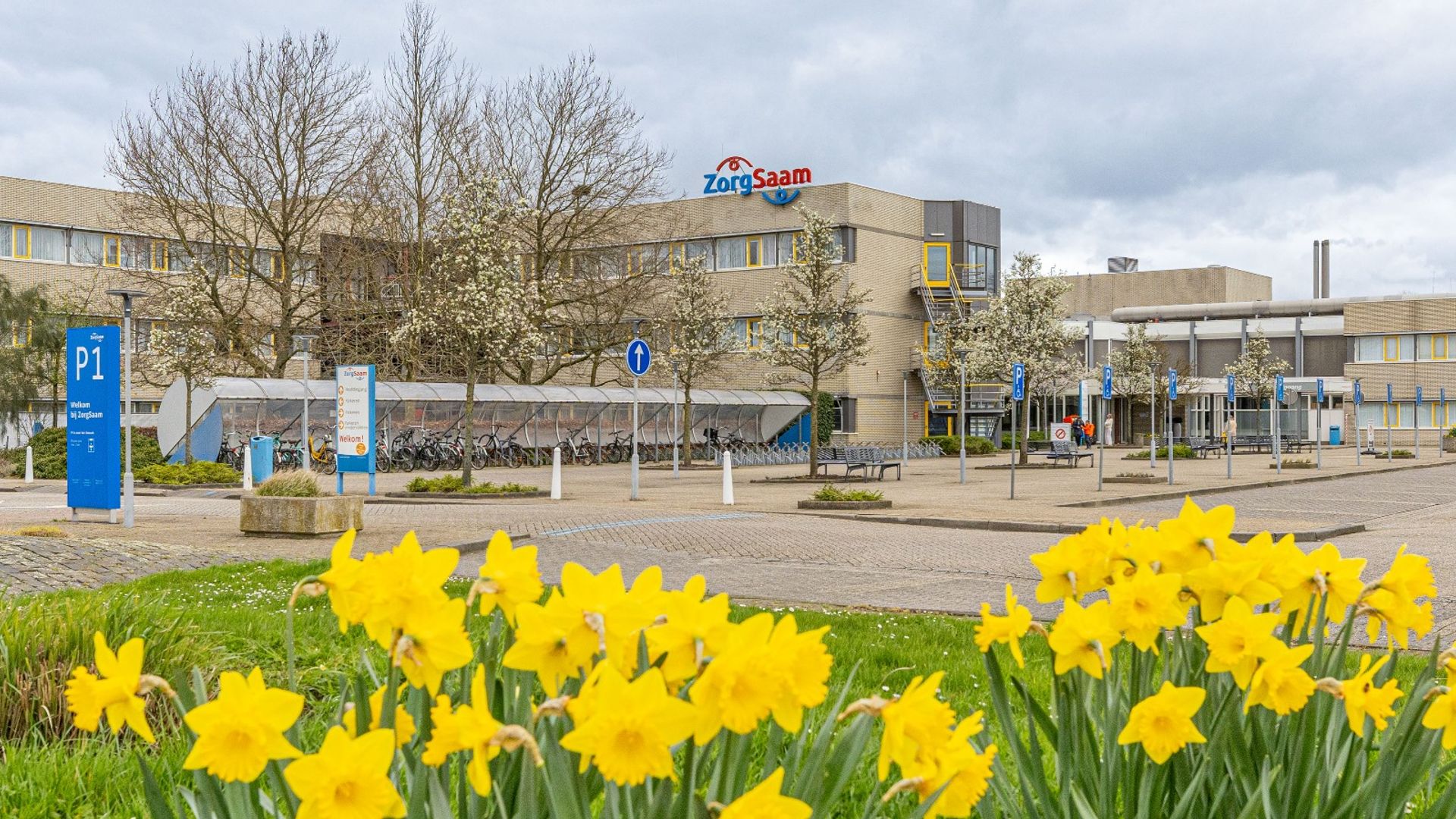 ZorgSaam lijdt verlies van 11 miljoen: 'Flinke bezuinigingen zijn ...