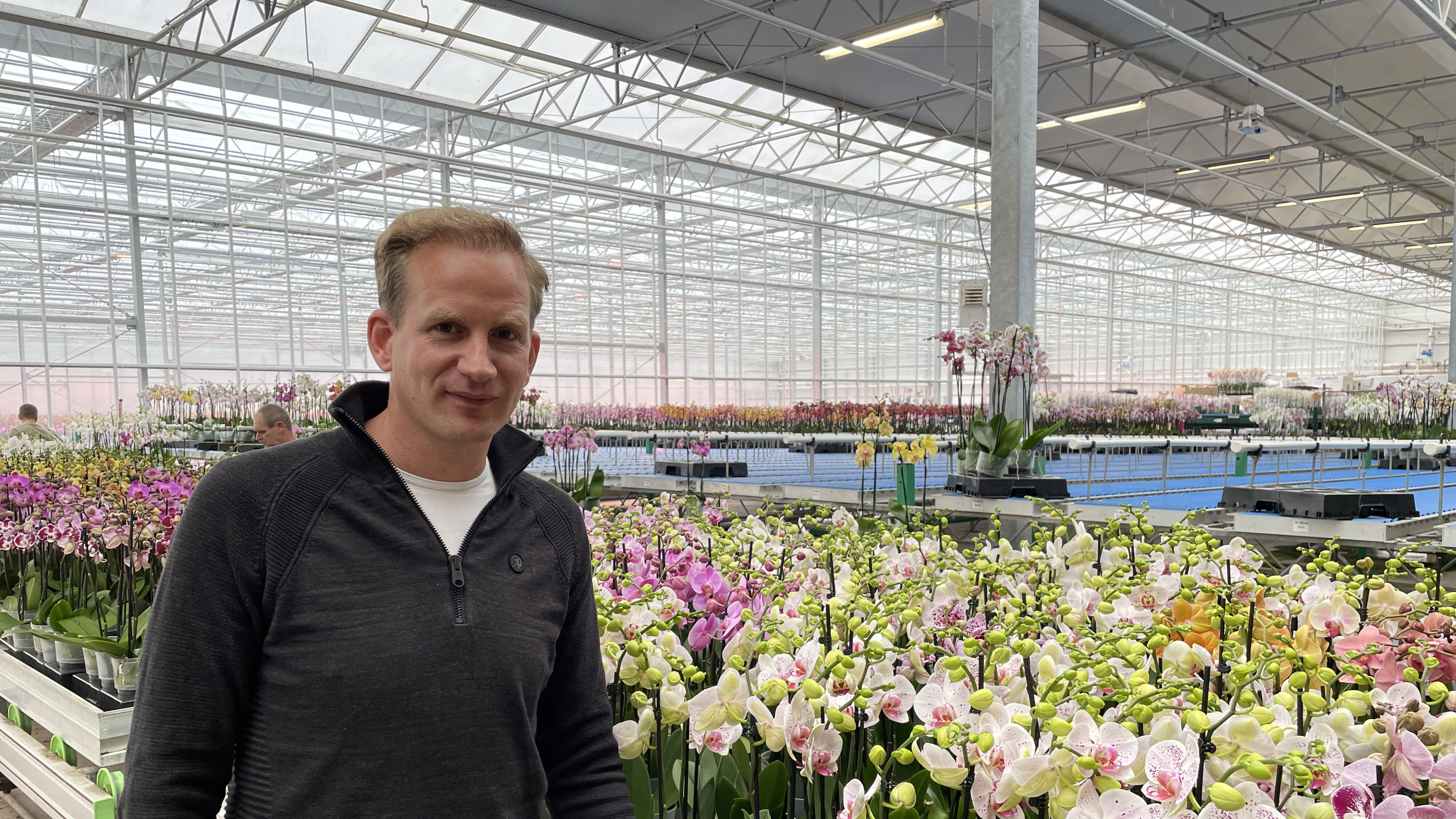 Orchideeënkwekerij Erica fleurt weer op: geen bedrijfsstop, maar ...