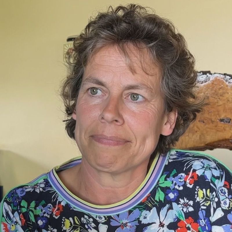 Ellen Dekker fan Spangea sprekt yn Den Haag oer fersakkingen troch ...