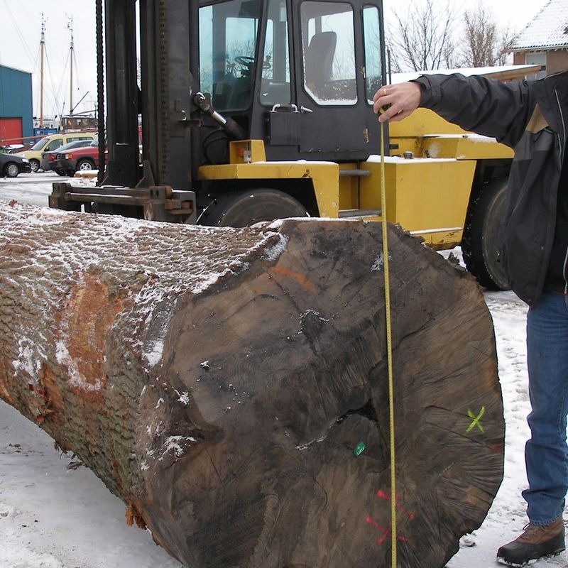 Eerste planken Enterse zomp gezaagd - RTV Oost