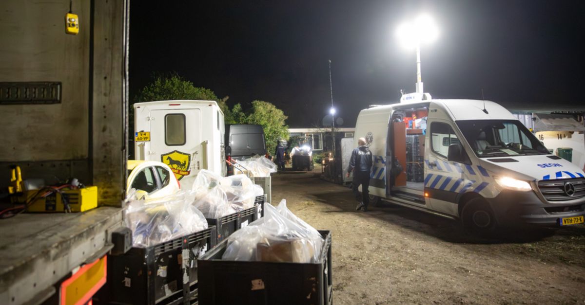 Tientallen kilo's drugs, waterscooter en paardentrailer: politie valt ...