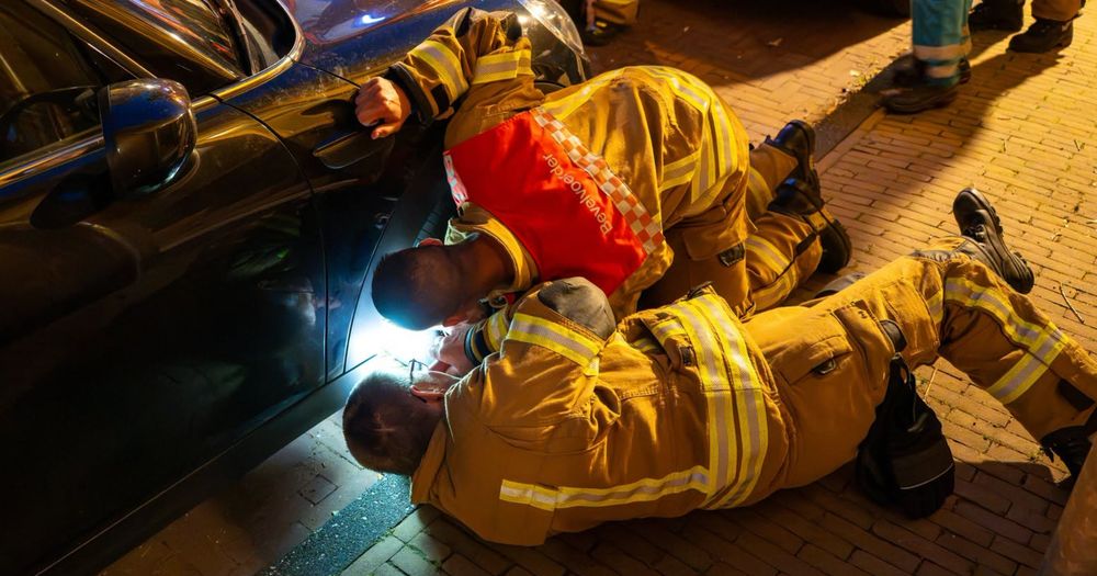 Brandweer redt vermiste kat uit motorruimte auto - Rijnmond