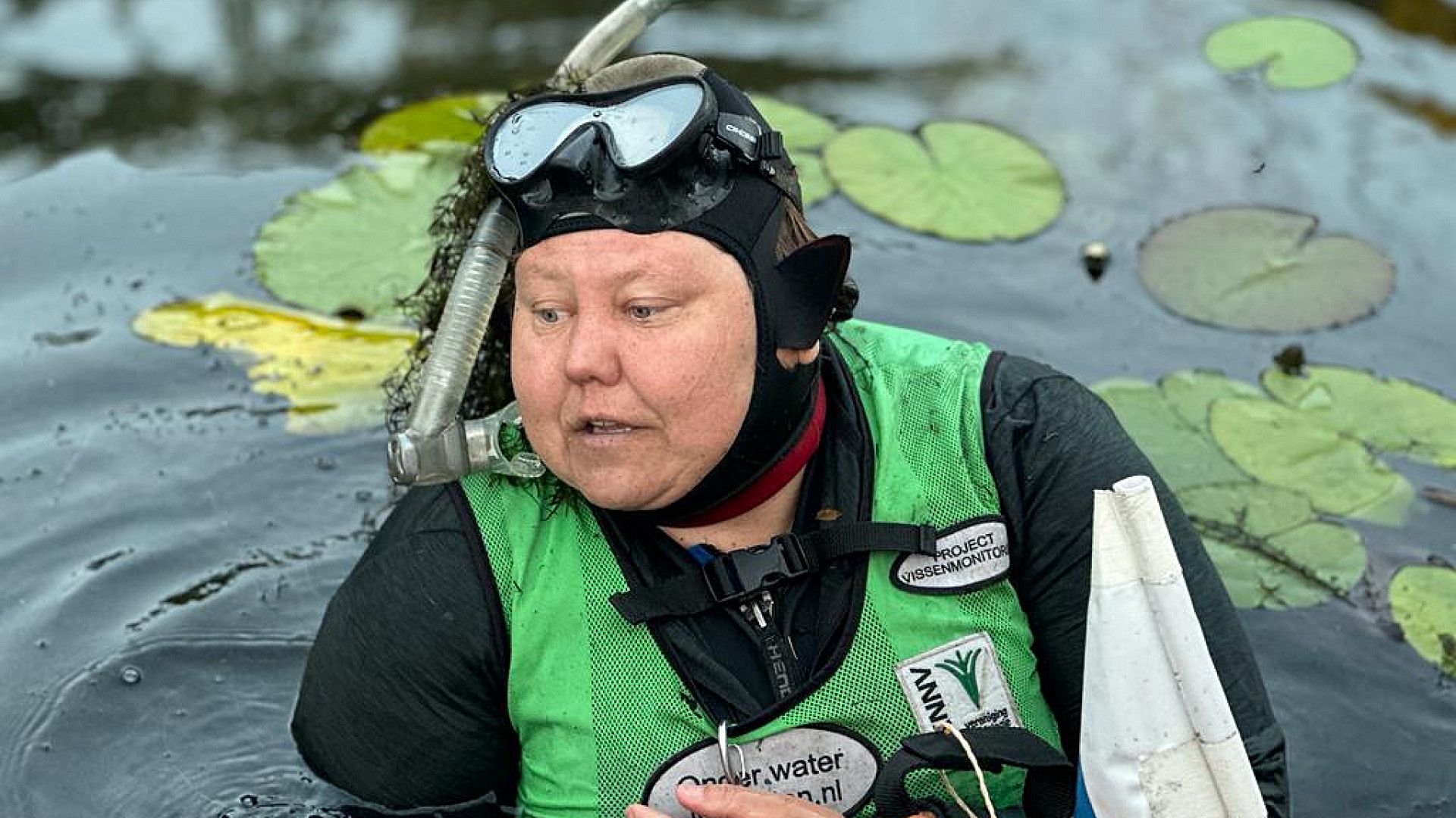 Rivierkreeft bedreiging voor Leidse grachten: 'We lopen achter de ...