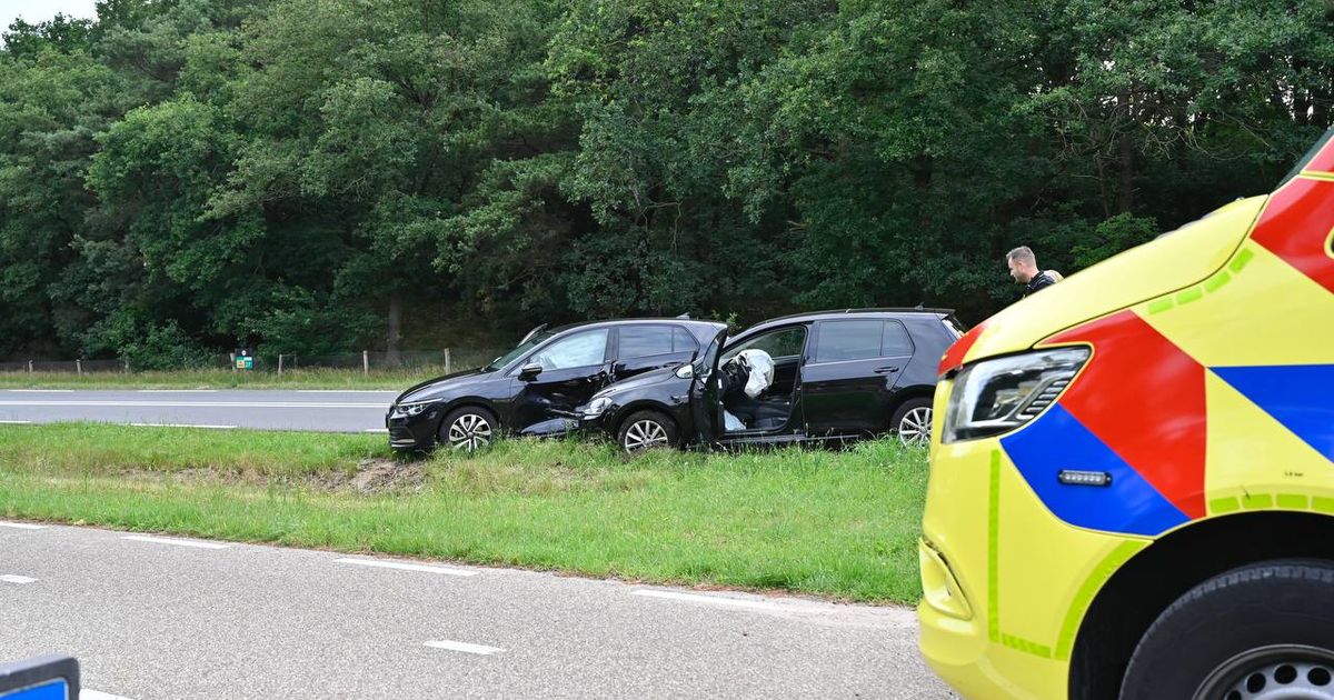112 Nieuws: Losgebroken pony langs N36 | Automobilist botst op ...