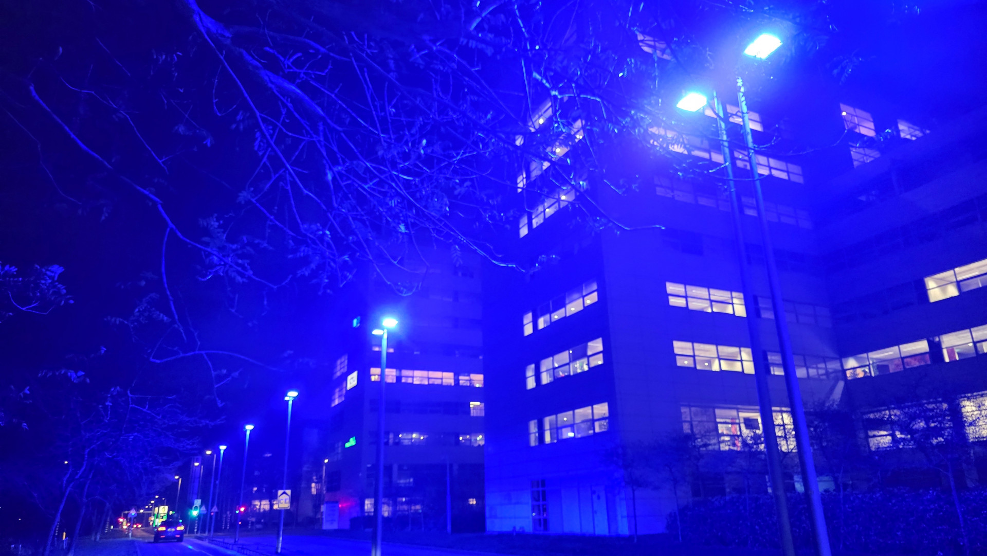 Routes, starttijden en wegafsluitingen: alles wat je moet weten over ...