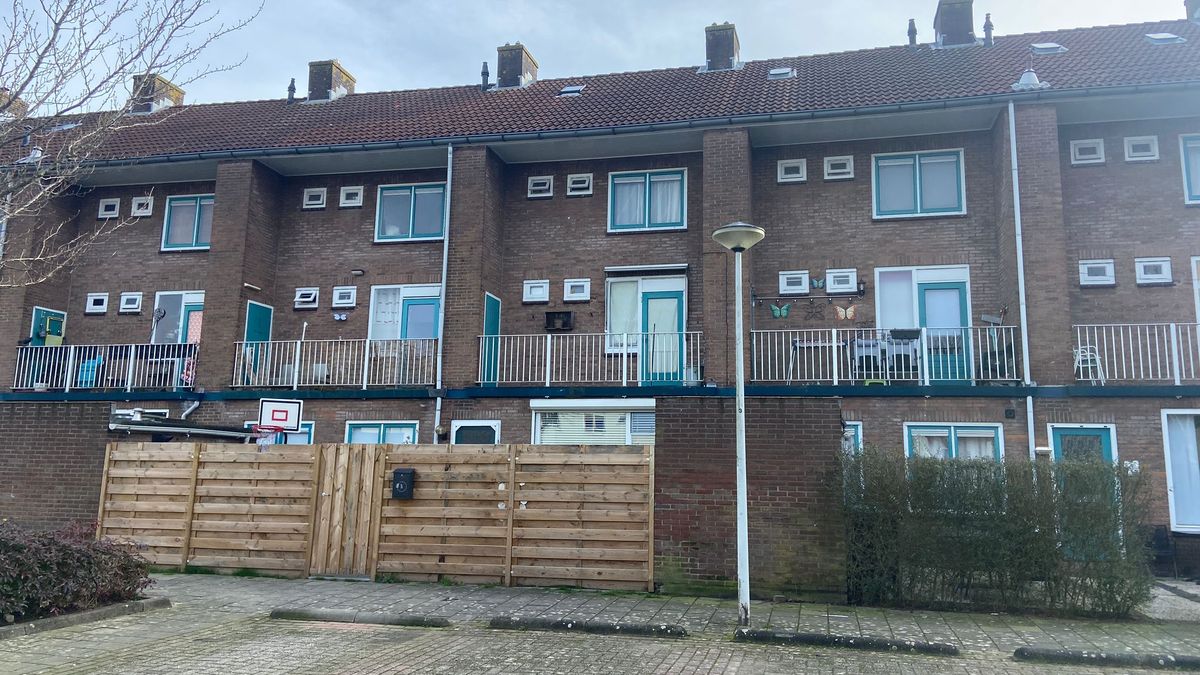Bezorgde boekhouder waarschuwt politie die vrouw dood in woning vindt ...