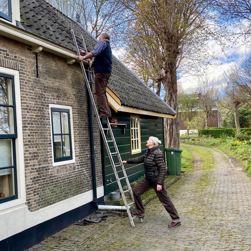 Janneke en George wonen in groene enclave in Overschie: een idyllische ...