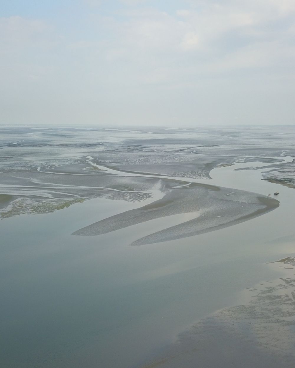 Waddenzee is vijftien jaar UNESCO Werelderfgoed: 'Dat draagt bij aan ...
