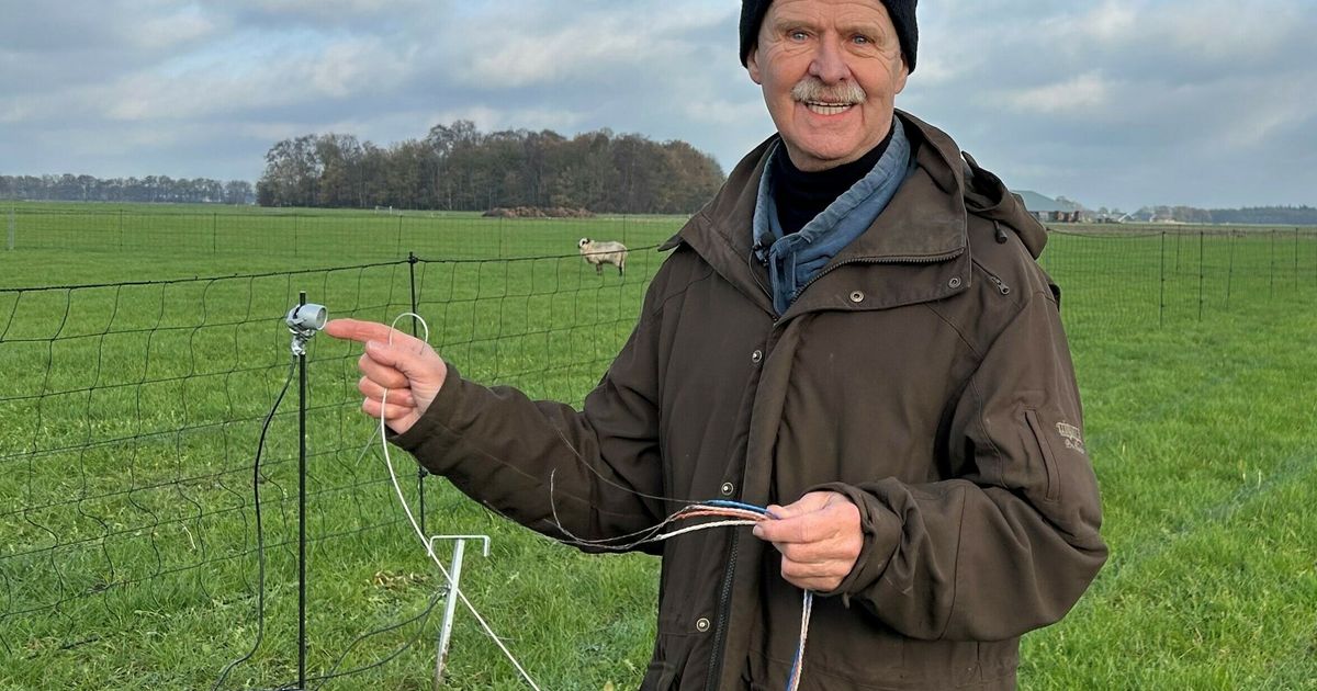 Is de útfining fan in Fryske skieppehâlder dé oplossing om wolven definityf op ôfstân te hâlden ...