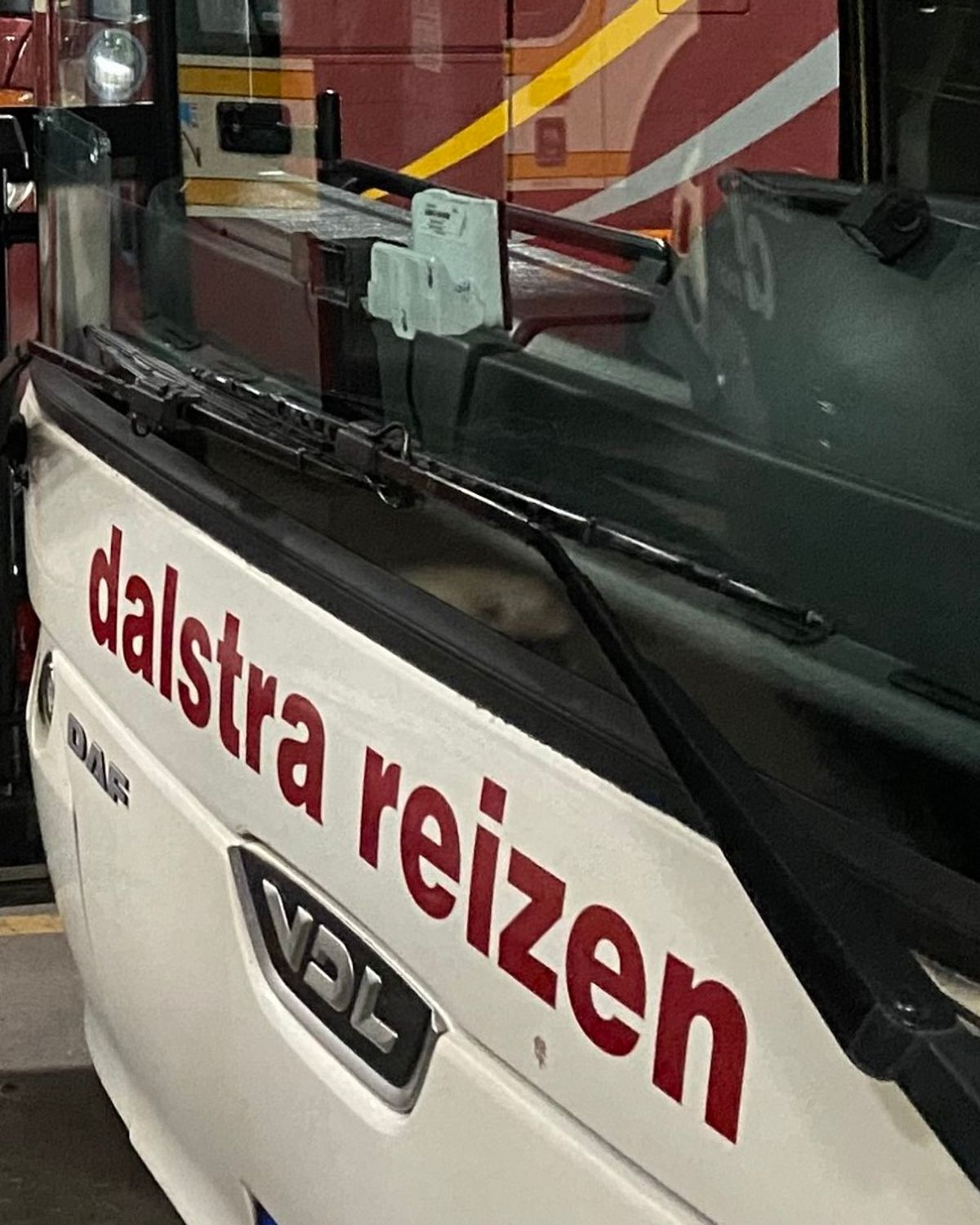 Doorstart voor Dalstra Reizen wordt lastig - Omrop Fryslân