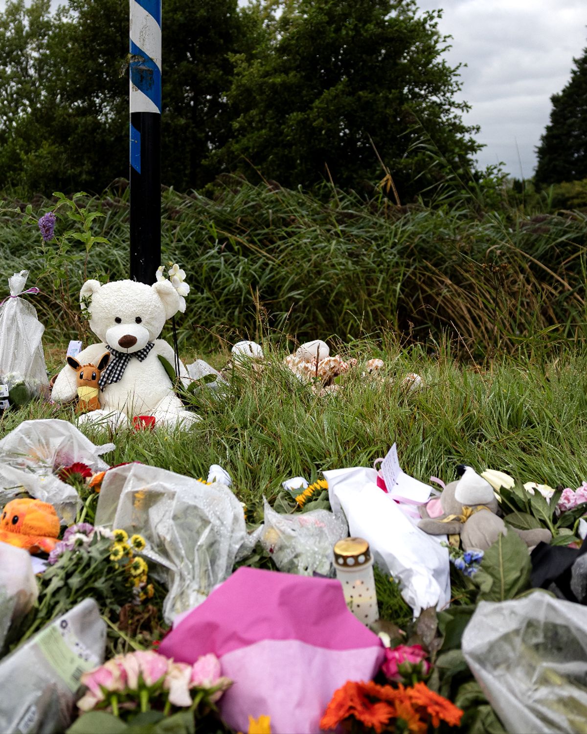 Bloemenmonument op plek waar 17-jarige Lisa uit Abcoude werd gevonden - RTV Utrecht