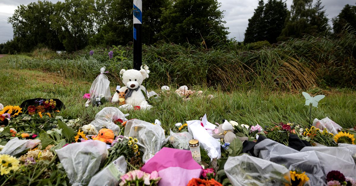 Bloemenmonument op plek waar 17-jarige Lisa uit Abcoude werd gevonden - RTV Utrecht