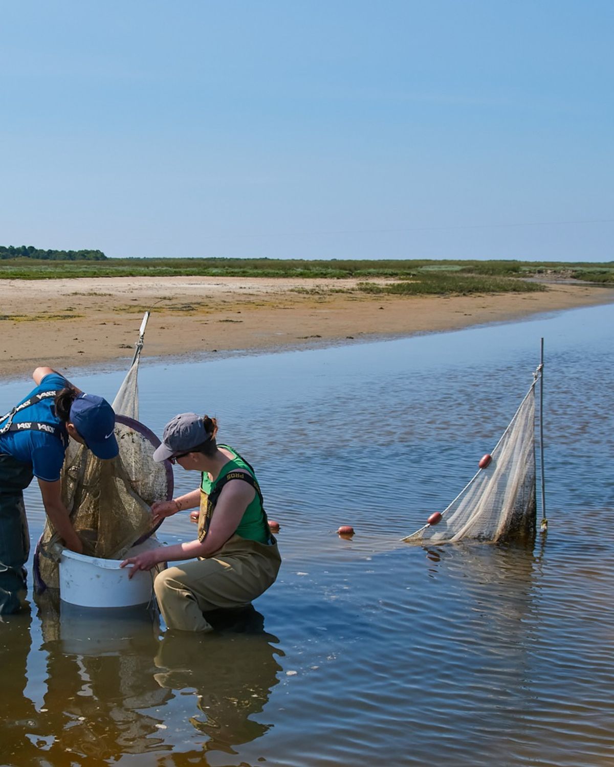 Fuiken geplaatst in slenken op Schiermonnikoog voor onderzoek naar ...