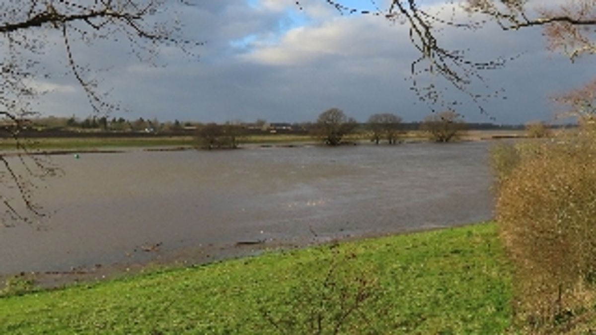 Boeren maakten van de Maas een gevaarlijke rivier - L1 Nieuws