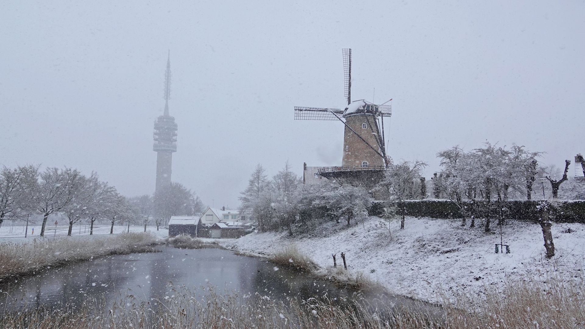 Goedemorgen! Midden Zeelandroute, jagen op vossen en uitje van het jaar ...