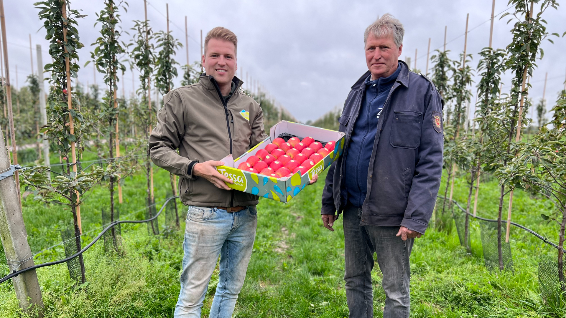 Wordt Cothense 'Tessa' een vaste naam in het appelschap? 'Deze heeft ...
