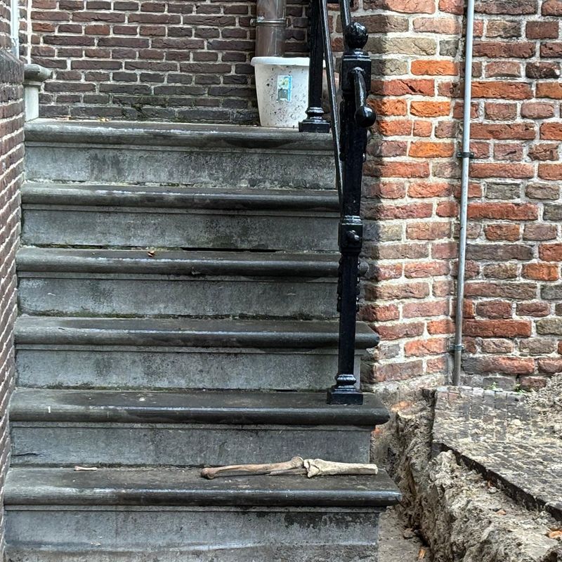 Botten gevonden en op de trap gelegd tijdens werkzaamheden bij ...