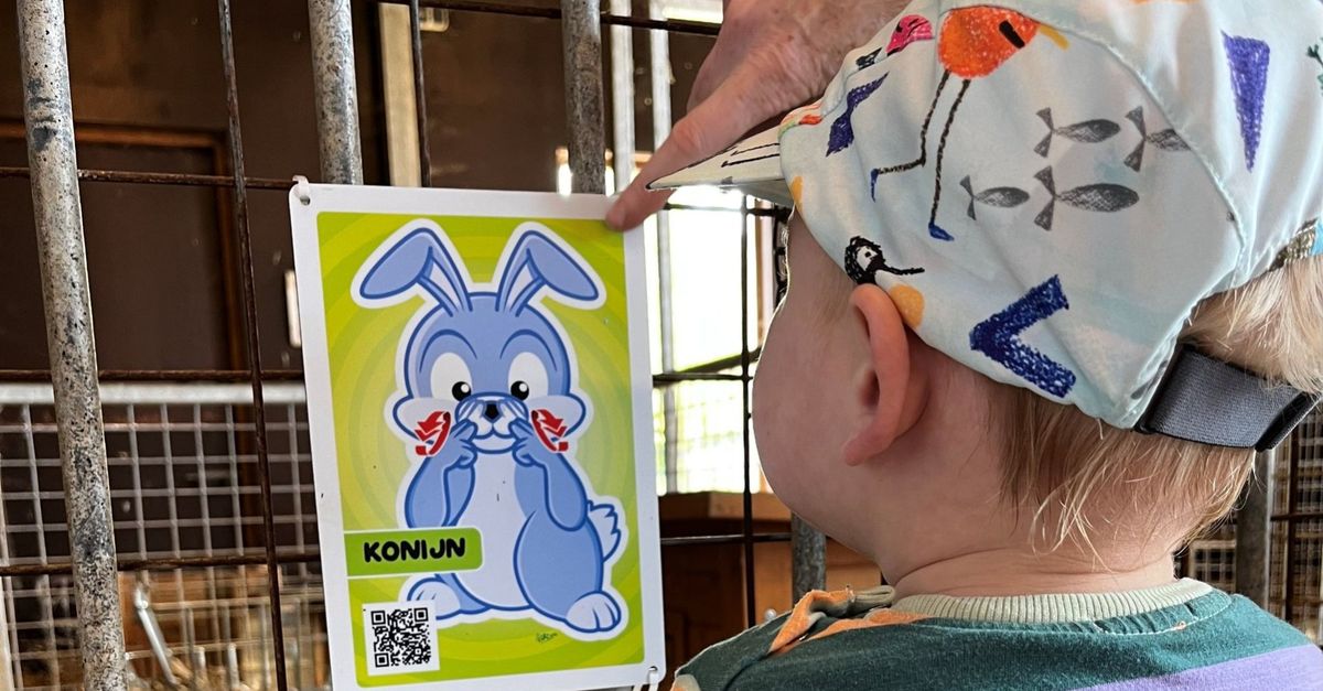 Ken jij het gebaar voor een bok? Op deze kinderboerderij wel - Omroep ...