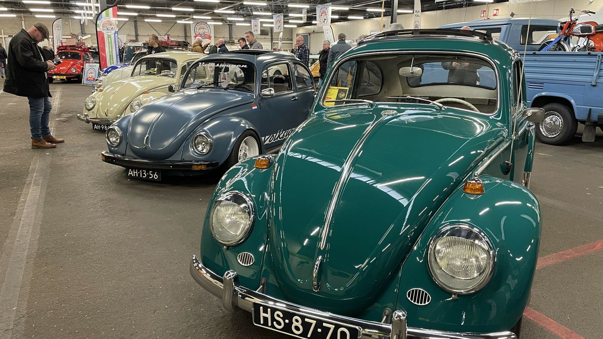 Prachtige oldtimers in Eelde met hoofdrol voor de VW Kever - RTV Drenthe