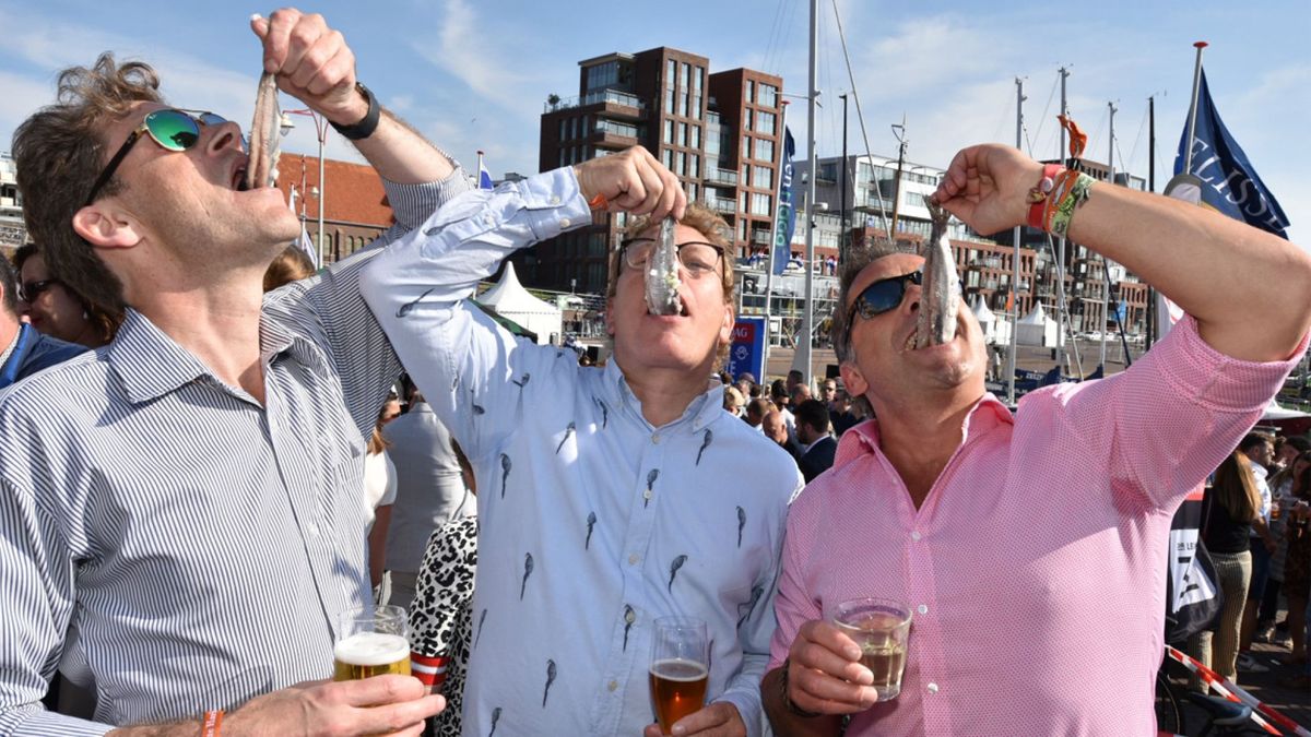 Haring happen kan misschien pas later: de vis is nog niet vet genoeg ...