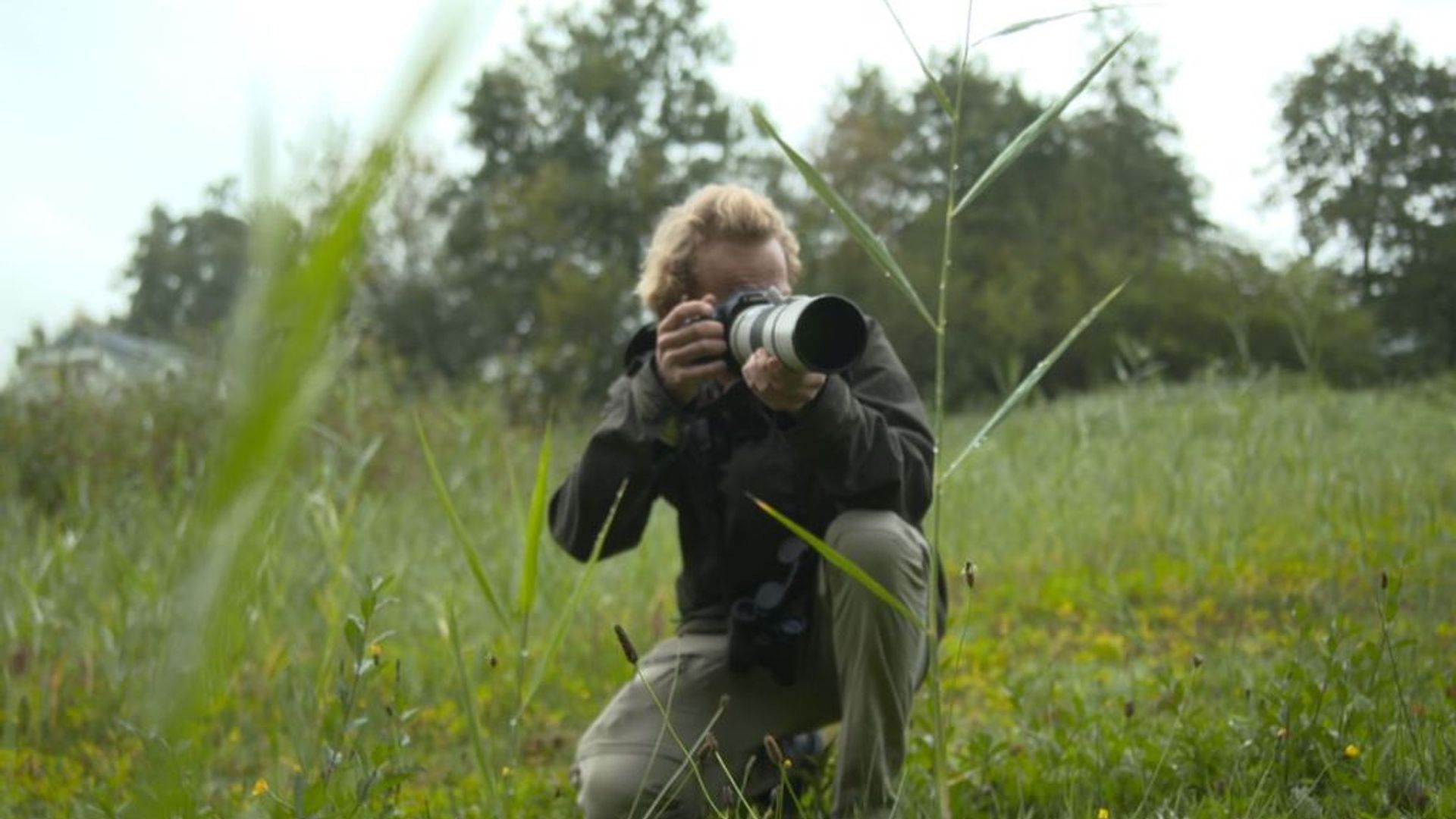 Alles voor het perfecte plaatje, maar er zijn grenzen - Omroep Gelderland