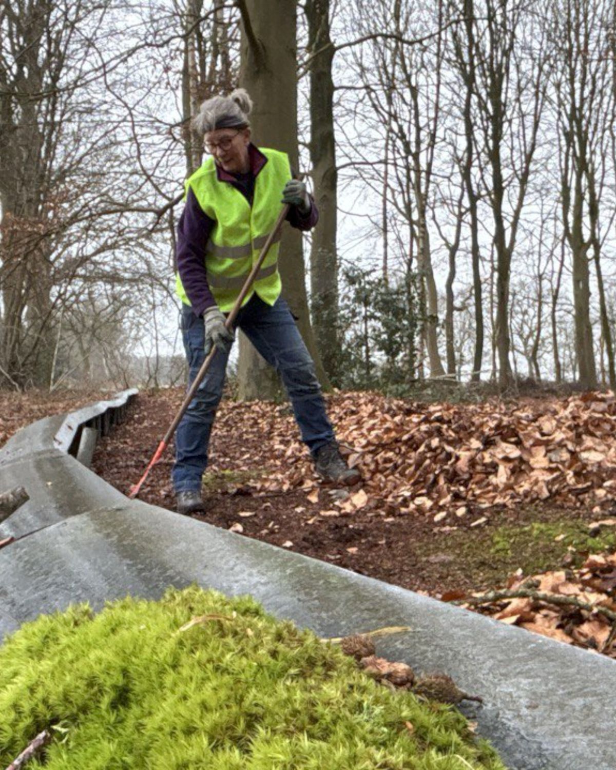 Padden niet meer van het padje door paddenredders in Gasteren - RTV Drenthe