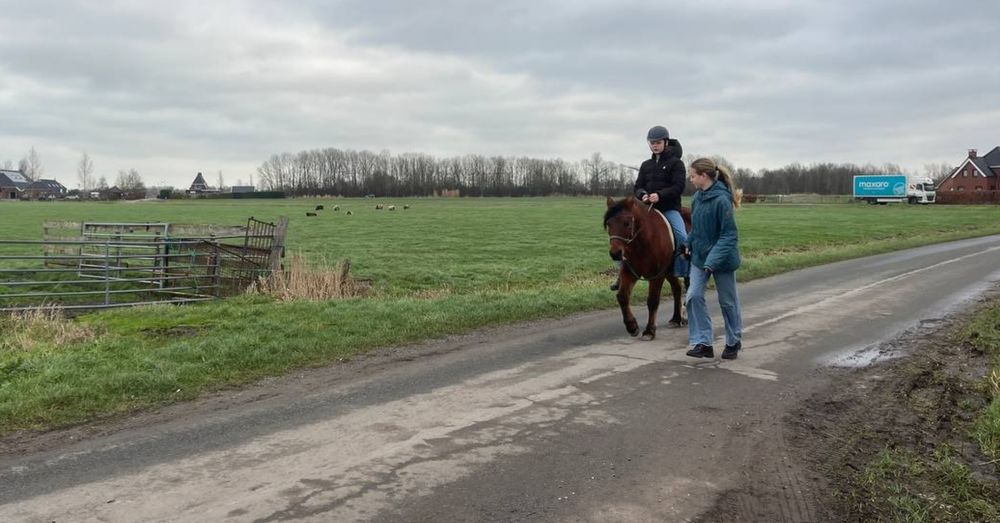Koe Guusje wordt ingeruild voor een echte pony: 'Het rijdt wel wat ...