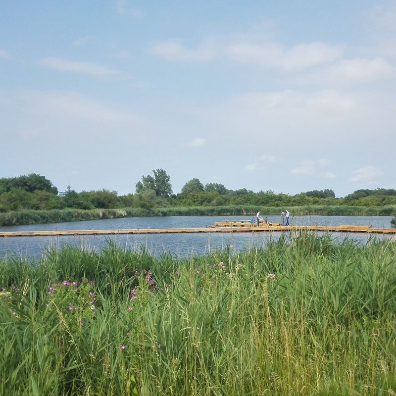 Wilt u over water lopen? Dat kan nu bij Lauwersoog - RTV Noord