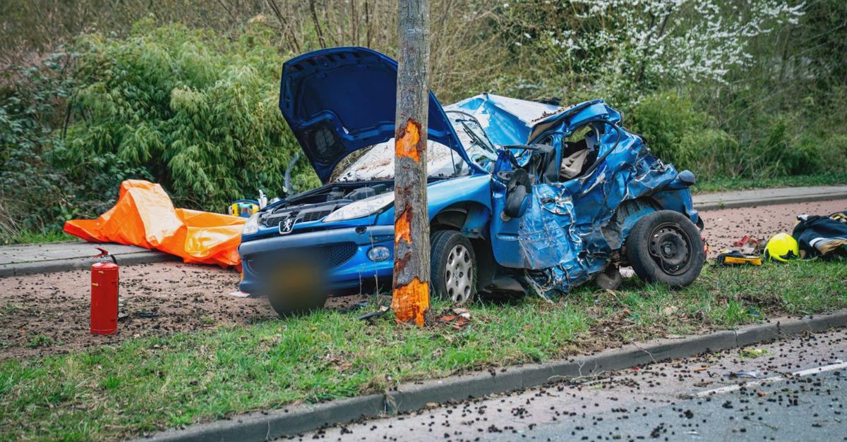Bestuurster (33) die na aanrijding op boom botste overleden, andere ...