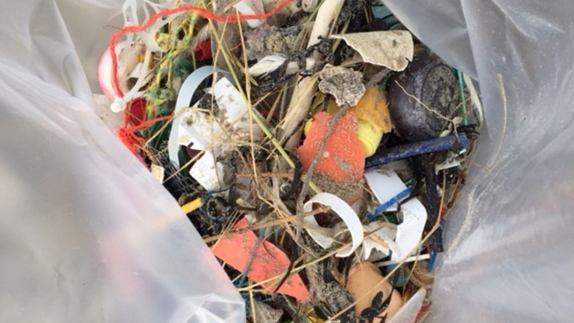 Meer afval en minder peuken bij strandschoonmaak: 'Maar het strand is ...