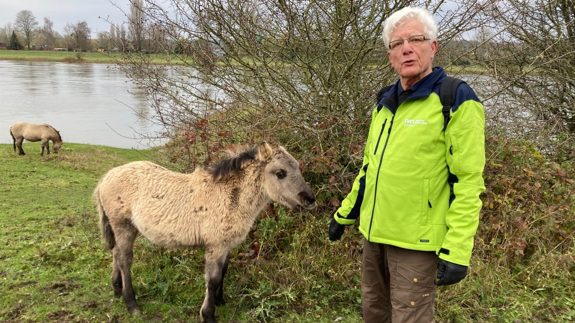 Kerstvakantie? 'Dierensporen zoeken is helemaal in' - Omroep Gelderland