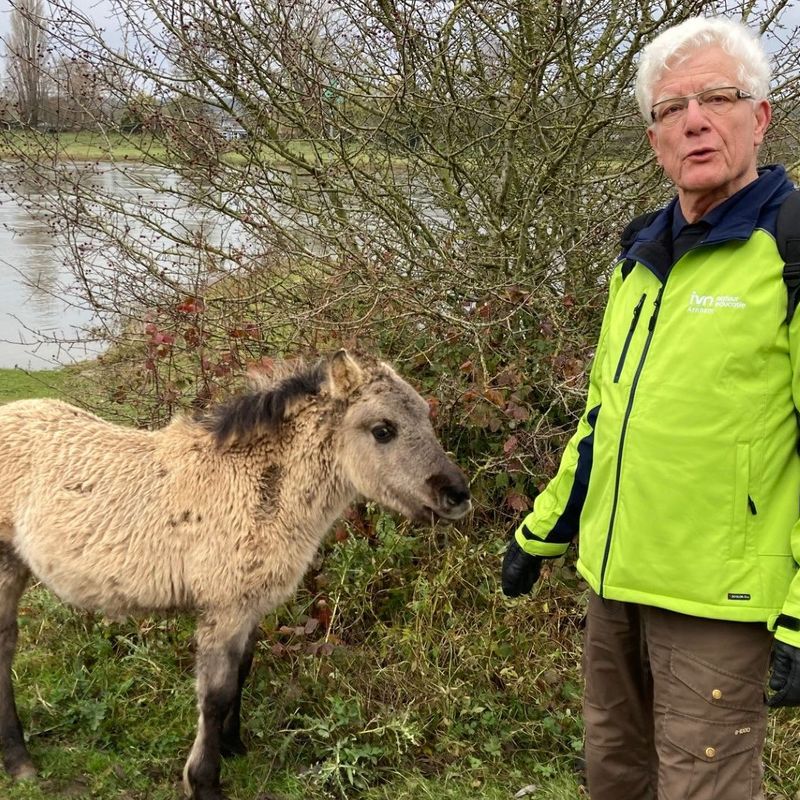 Kerstvakantie? 'Dierensporen zoeken is helemaal in' - Omroep Gelderland