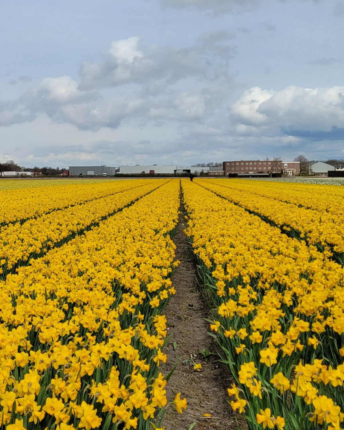 Te veel giftige stoffen aangetroffen in grondwater, kan leiden tot ...