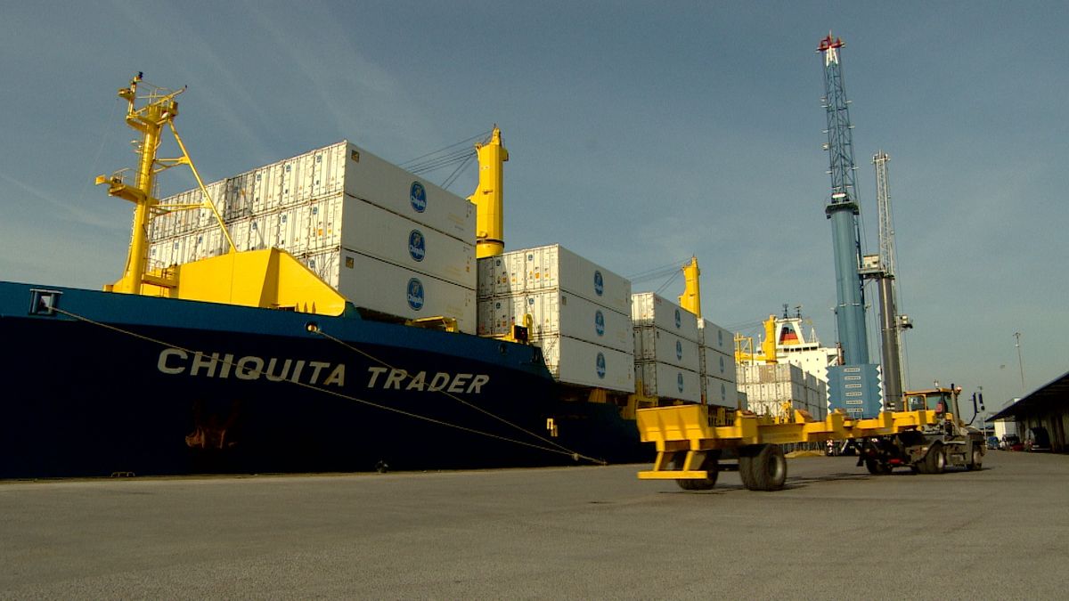 Bananen per container vragen om miljoeneninvestering bij Kloosterboer ...