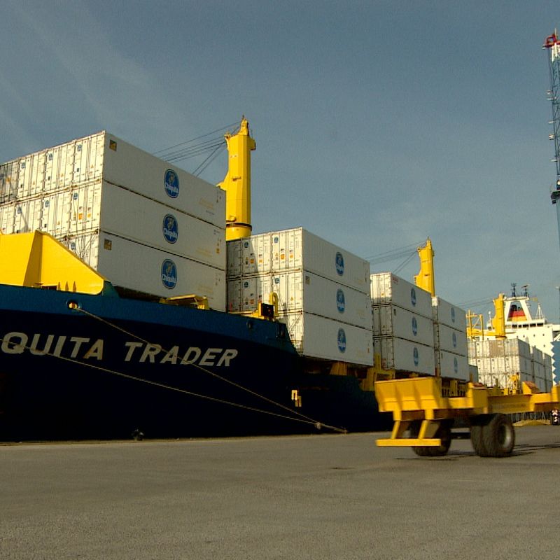 Bananen per container vragen om miljoeneninvestering bij Kloosterboer ...