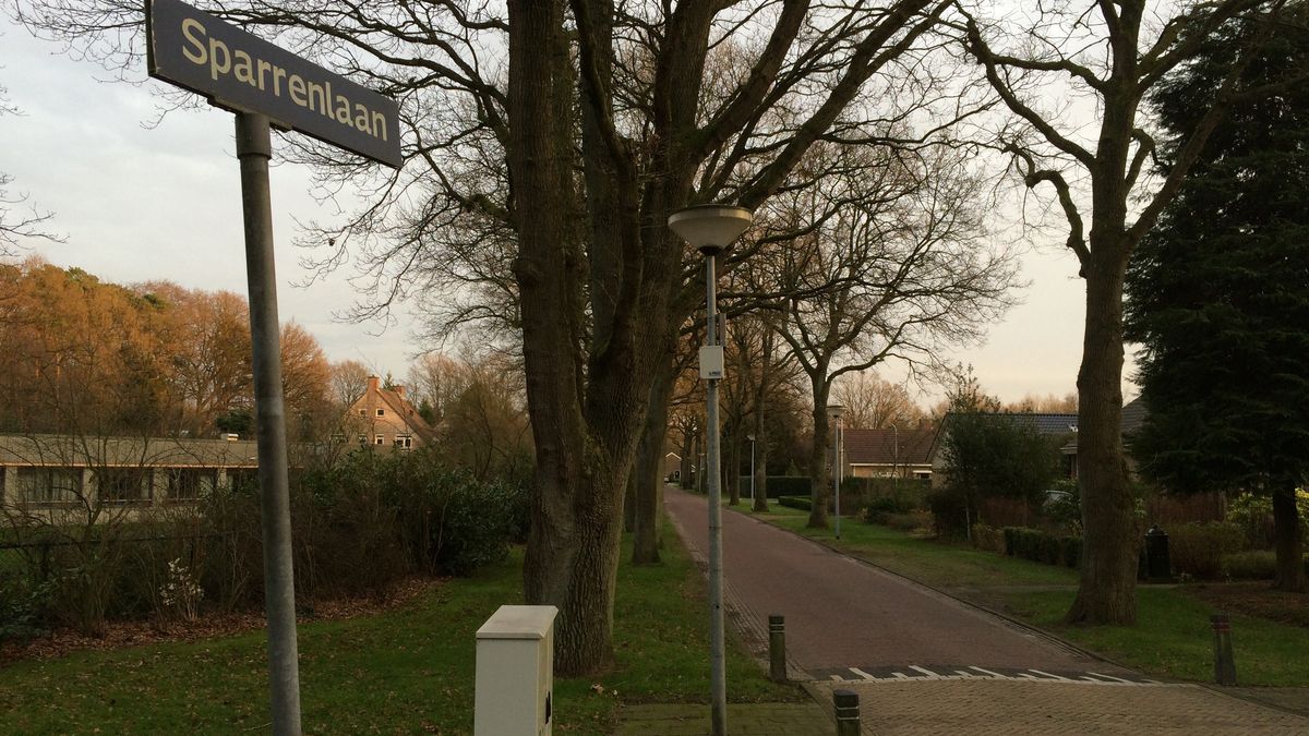 Verdachte verkrachting en beroving van 20-jarige vrouw in Assen blijft vastzitten - RTV Drenthe