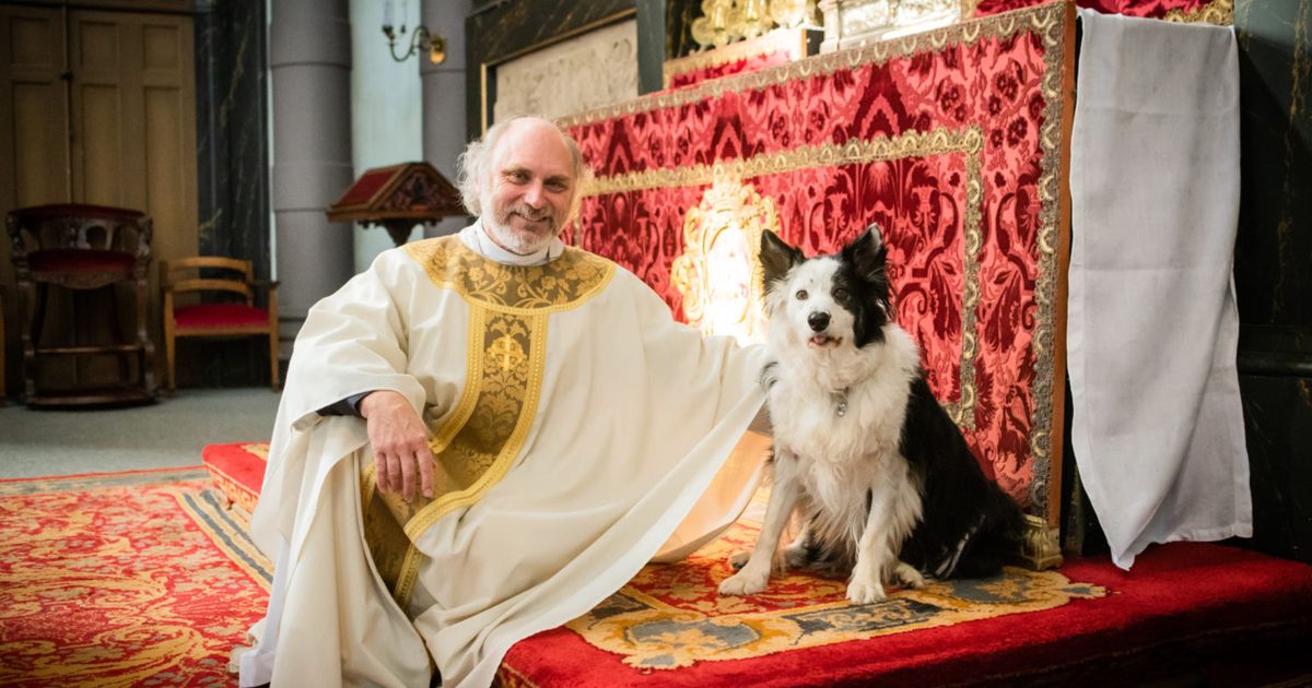 Een hond, een kat en misschien zelfs een ezel in de kerk: deze pastoor ...