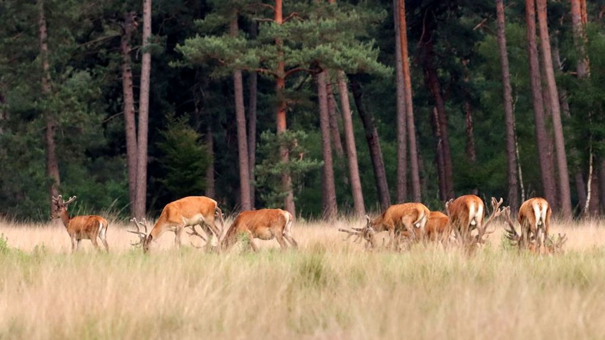 Wees netjes als je de natuur ingaat (en dat doe je zo) - Omroep Gelderland